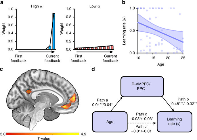 Development of MPFC function mediates shifts in self-protective ...
