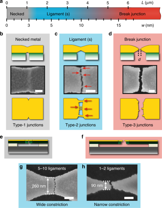Massively parallel fabrication of crack-defined gold break junctions ...