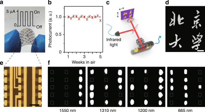 Ultrafast and highly sensitive infrared photodetectors based on two ...
