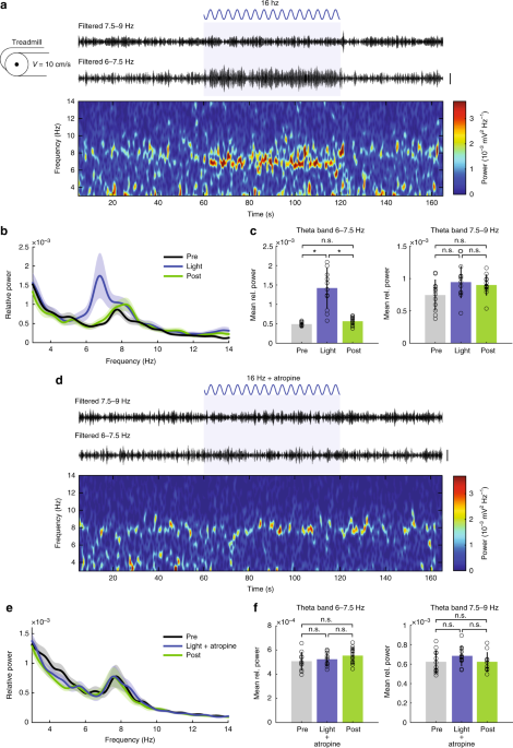 Ventral hippocampal OLM cells control type 2 theta oscillations and ...