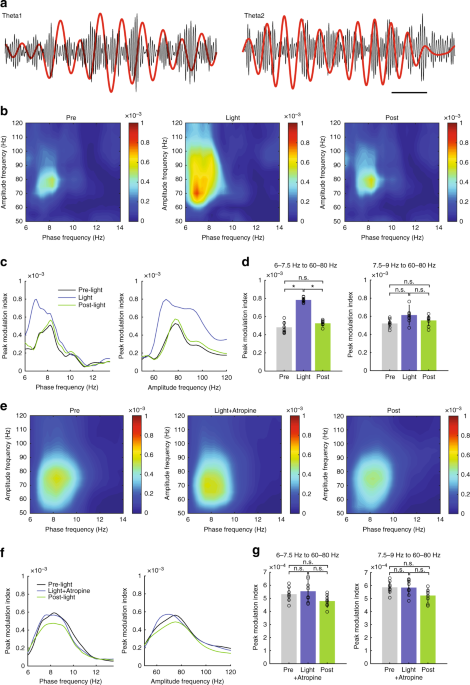 Ventral hippocampal OLM cells control type 2 theta oscillations and ...