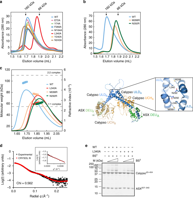 A bidentate Polycomb Repressive-Deubiquitinase complex is required for ...