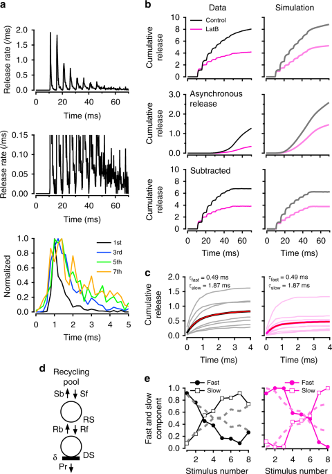 Two-component latency distributions indicate two-step vesicular release ...