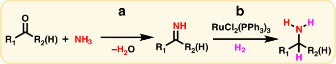 Simple ruthenium-catalyzed reductive amination enables the synthesis of ...