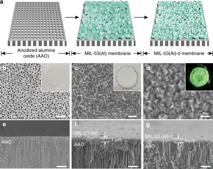 Metal-organic framework patterns and membranes with heterogeneous pores ...