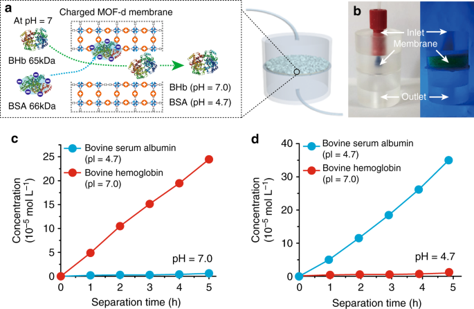 Metal-organic framework patterns and membranes with heterogeneous pores ...