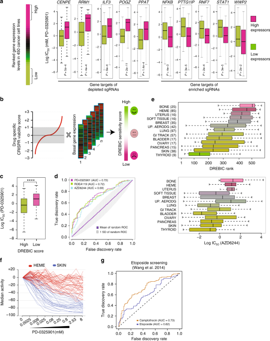 CRISPR knockout screening identifies combinatorial drug targets in ...