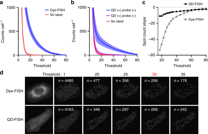 Enhanced mRNA FISH with compact quantum dots | Nature Communications