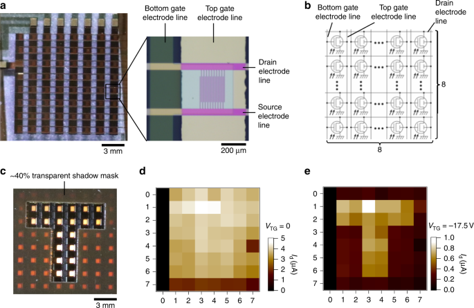 Dual-gate organic phototransistor with high-gain and linear ...