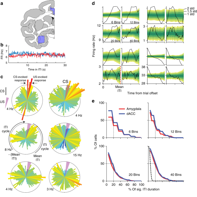 Long time-scales in primate amygdala neurons support aversive learning ...