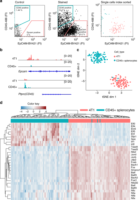 Joint single-cell DNA accessibility and protein epitope profiling ...
