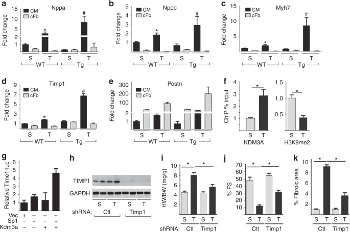 Histone lysine dimethyl-demethylase KDM3A controls pathological cardiac ...
