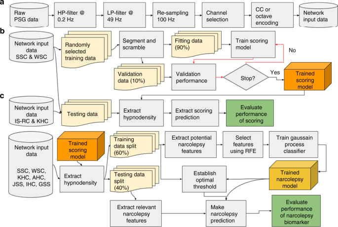 Neural network analysis of sleep stages enables efficient diagnosis of ...