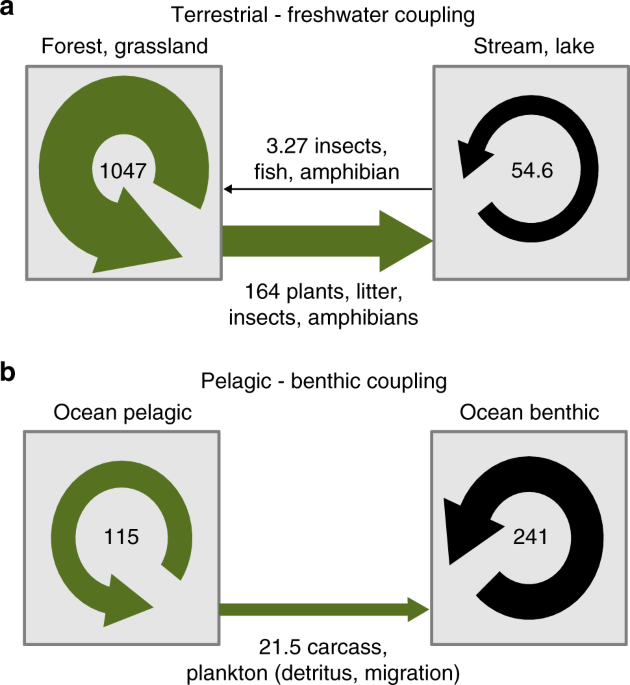 Cross-ecosystem carbon flows connecting ecosystems worldwide | Nature ...