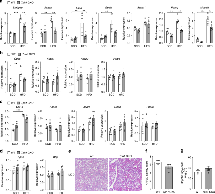Serotonin signals through a gut-liver axis to regulate hepatic ...