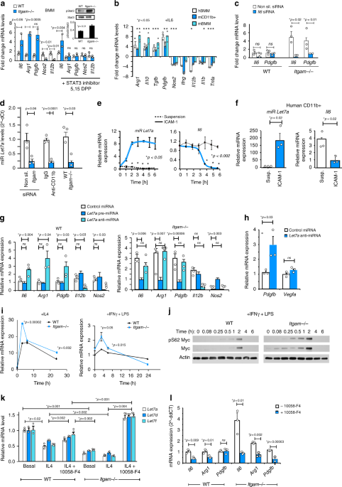 Integrin CD11b activation drives anti-tumor innate immunity | Nature ...