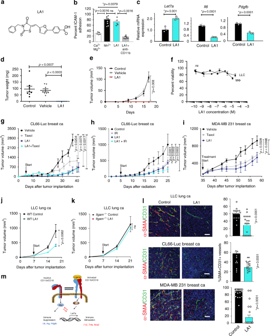 Integrin CD11b activation drives anti-tumor innate immunity | Nature ...