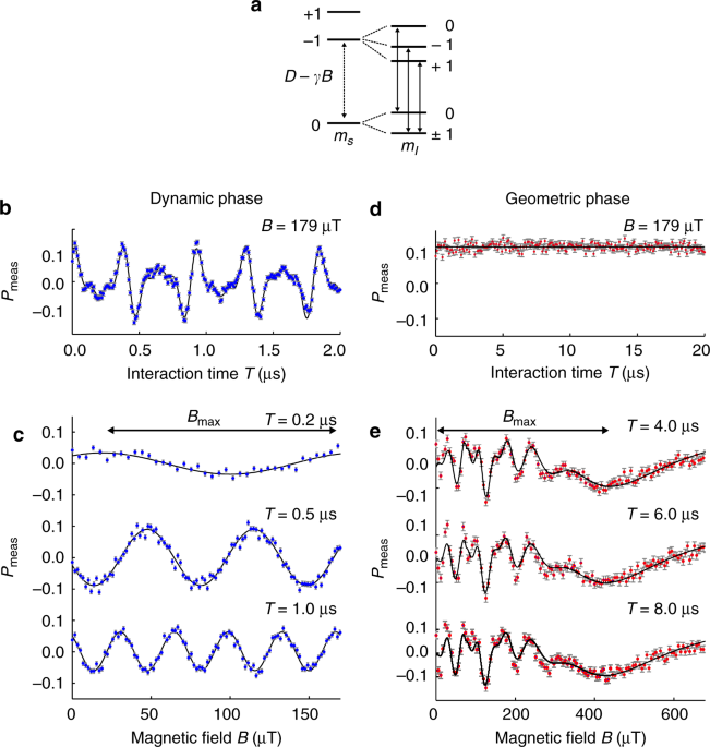 Geometric phase magnetometry using a solid-state spin | Nature ...