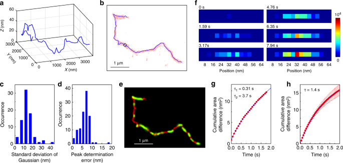 Entangled polymer dynamics beyond reptation | Nature Communications