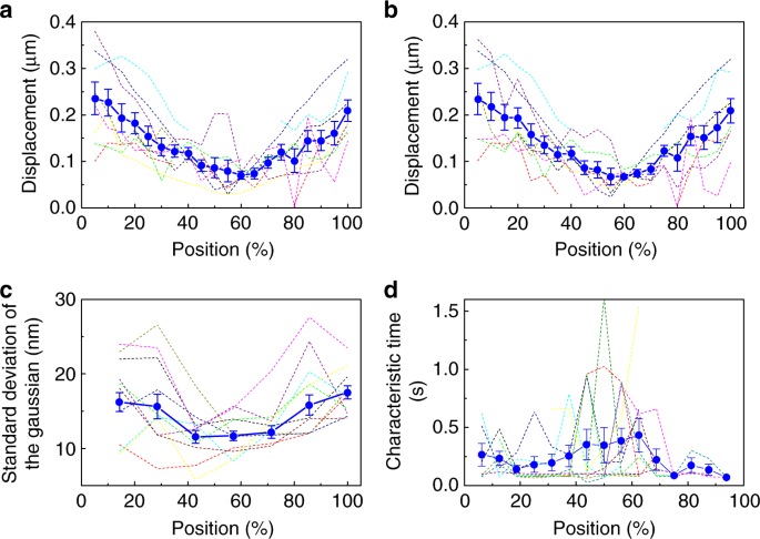 Entangled polymer dynamics beyond reptation | Nature Communications