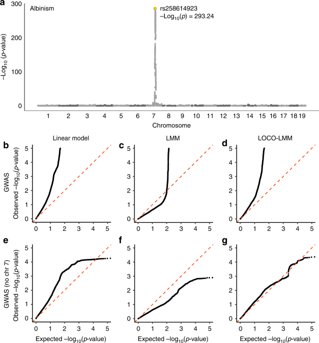 Genome wide association analysis in a mouse advanced intercross line | Nature Communications