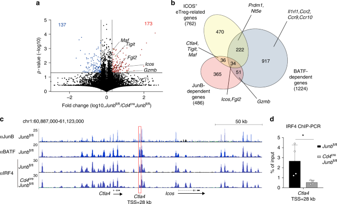JunB regulates homeostasis and suppressive functions of effector ...