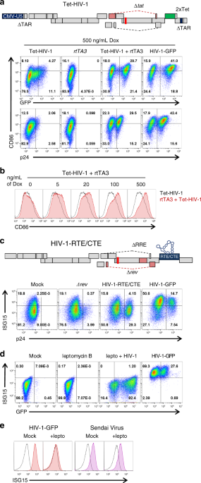 Intron-containing RNA from the HIV-1 provirus activates type I ...