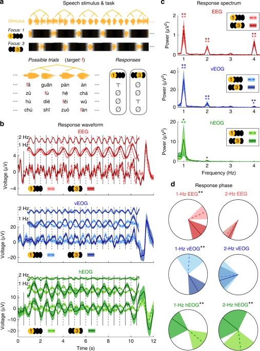 Eye activity tracks task-relevant structures during speech and auditory ...