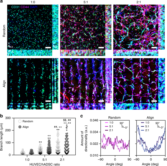 High-resolution acoustophoretic 3D cell patterning to construct ...