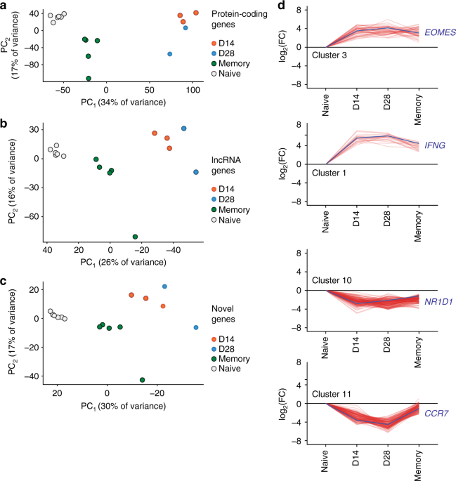 Expression of novel long noncoding RNAs defines virus-specific effector ...