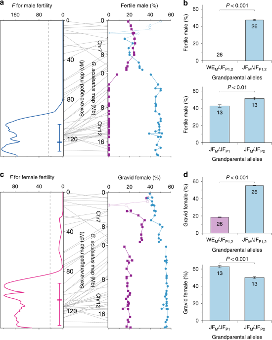 The Evolution Of Sex Determination Associated With A Chromosomal
