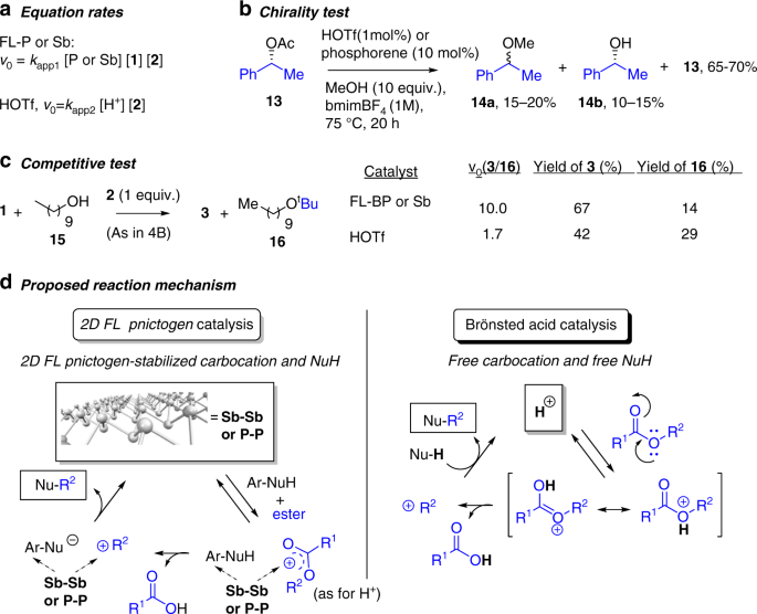 Few layer 2D pnictogens catalyze the alkylation of soft nucleophiles ...