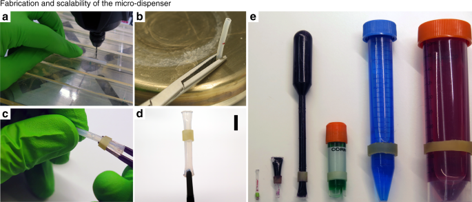 A micro-dispenser for long-term storage and controlled release of ...