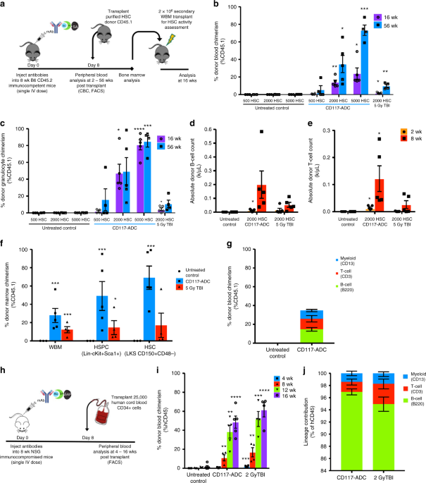 Selective hematopoietic stem cell ablation using CD117-antibody-drug ...