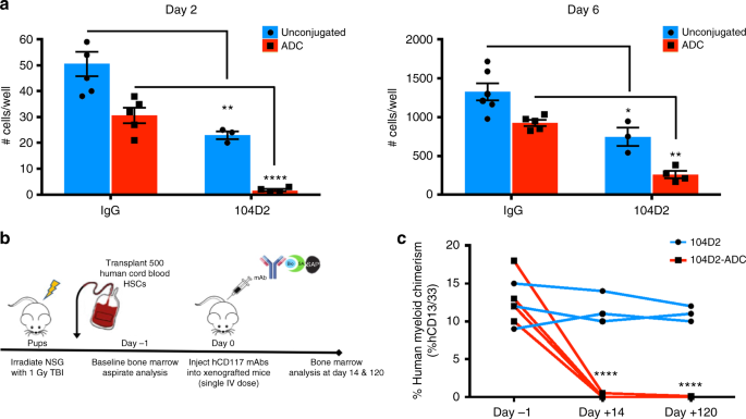 Selective hematopoietic stem cell ablation using CD117-antibody-drug ...