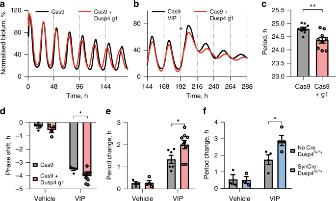 Vasoactive intestinal peptide controls the suprachiasmatic circadian ...