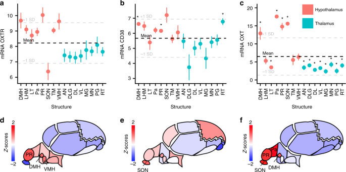 Oxytocin Pathway Gene Networks In The Human Brain Nature Communications
