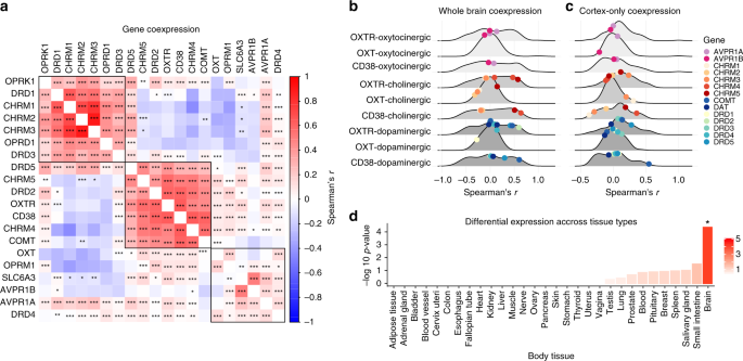 Oxytocin pathway gene networks in the human brain | Nature Communications