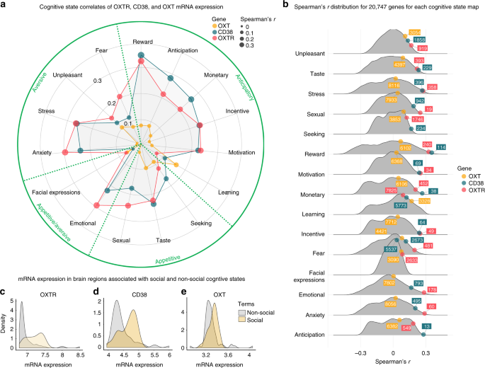 Oxytocin pathway gene networks in the human brain | Nature Communications
