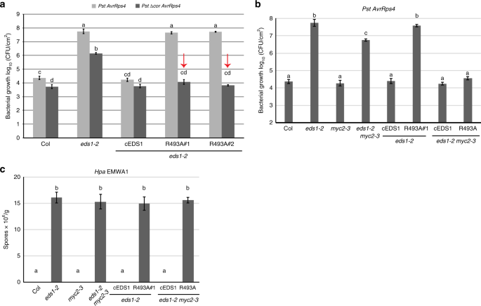 An EDS1 heterodimer signalling surface enforces timely reprogramming of ...