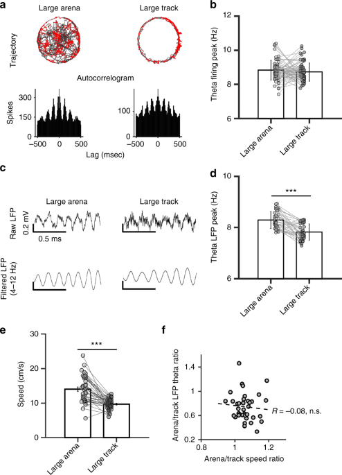 Path integration maintains spatial periodicity of grid cell firing in a 1D circular track ...
