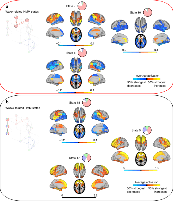Discovery of key whole-brain transitions and dynamics during human ...