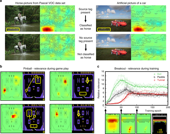 Unmasking Clever Hans predictors and assessing what machines really ...