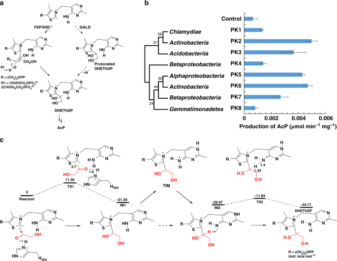 Constructing a synthetic pathway for acetyl-coenzyme A from one-carbon ...
