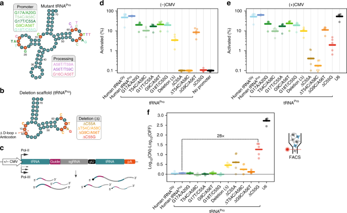 Decoupling tRNA promoter and processing activities enables specific Pol ...
