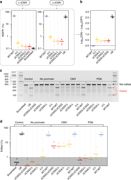 Decoupling tRNA promoter and processing activities enables specific Pol ...