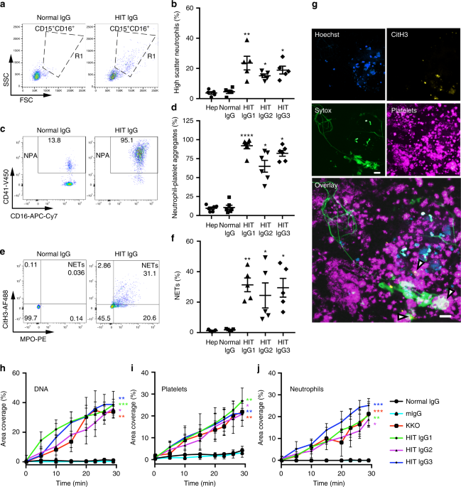 Neutrophil activation and NETosis are the major drivers of thrombosis ...