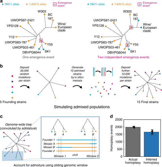 Pervasive function and evidence for selection across standing genetic ...