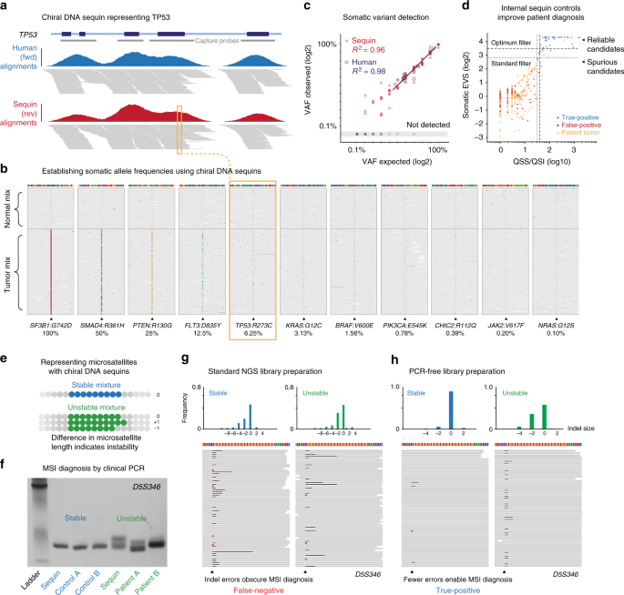 Chiral DNA sequences as commutable controls for clinical genomics ...