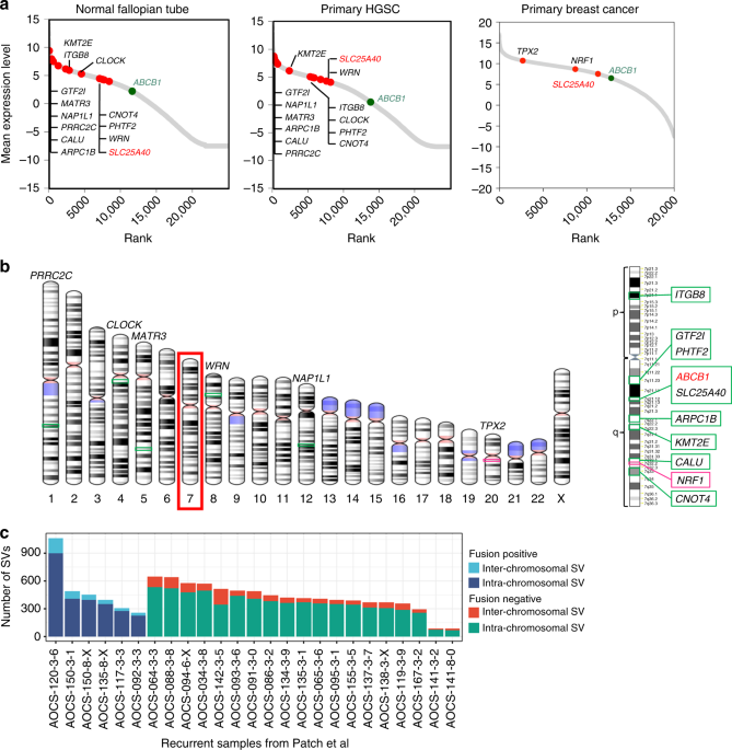 Multiple ABCB1 transcriptional fusions in drug resistant high-grade ...